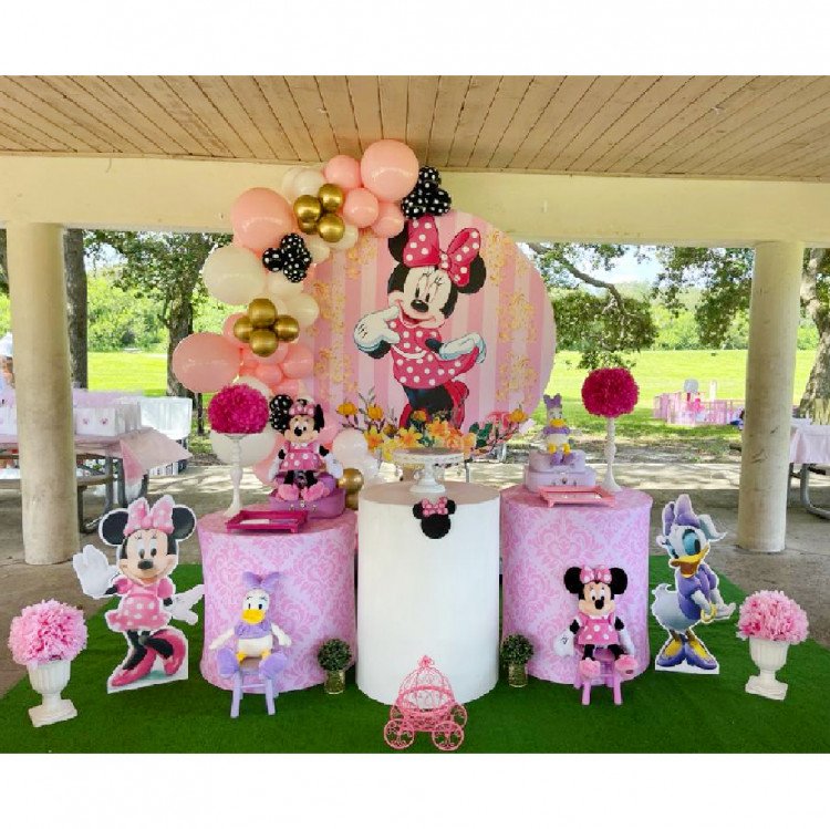 Mouse Modern Decor Package #1 Minnie - Kids Fairyland Party Rental ...