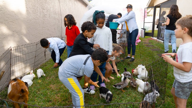 Basic Petting Zoo - Kids Fairyland Party Rental Lauderhill FL