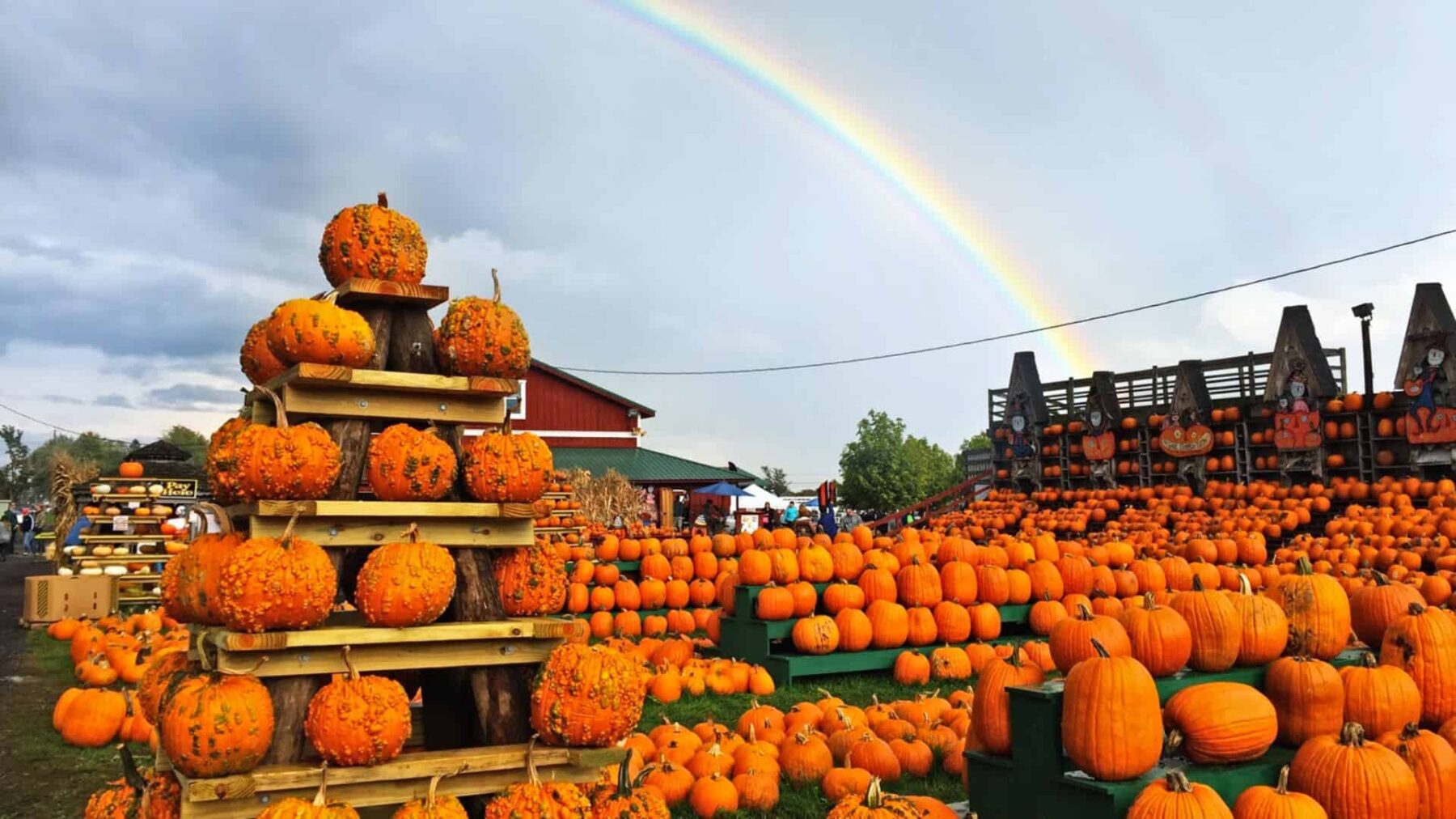 Fall Pilgrim: 6 Tips to Celebrate This Fall Pilgrim Day